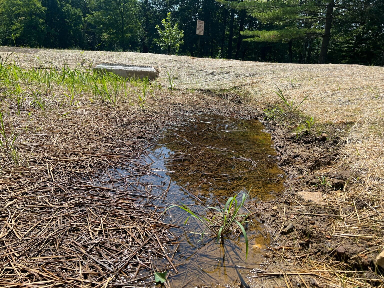 help fight the bite by eliminating standing water on your property ...
